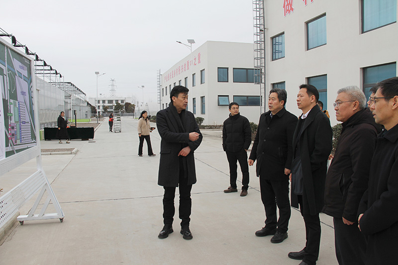 江苏省农业科学院副院长还红华一行莅临我所调研指导工作 江苏徐淮地区徐州农业科学研究所，徐州市农业科学院